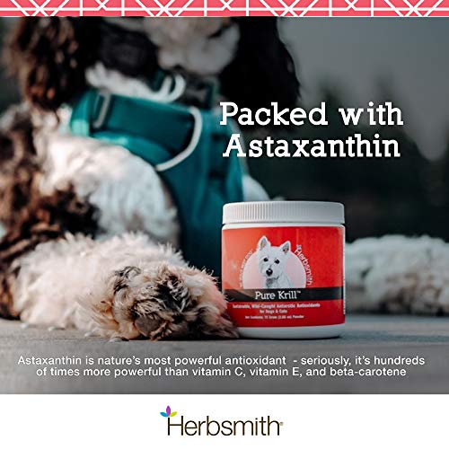 Herbsmith Pure Krill - Wild-Caught Antarctic Krill - Just 1 Ingredient - Astaxanthin for Dogs - Ready-to-Use Omega 3s – Alternative to Krill Oil for Dogs - 75g