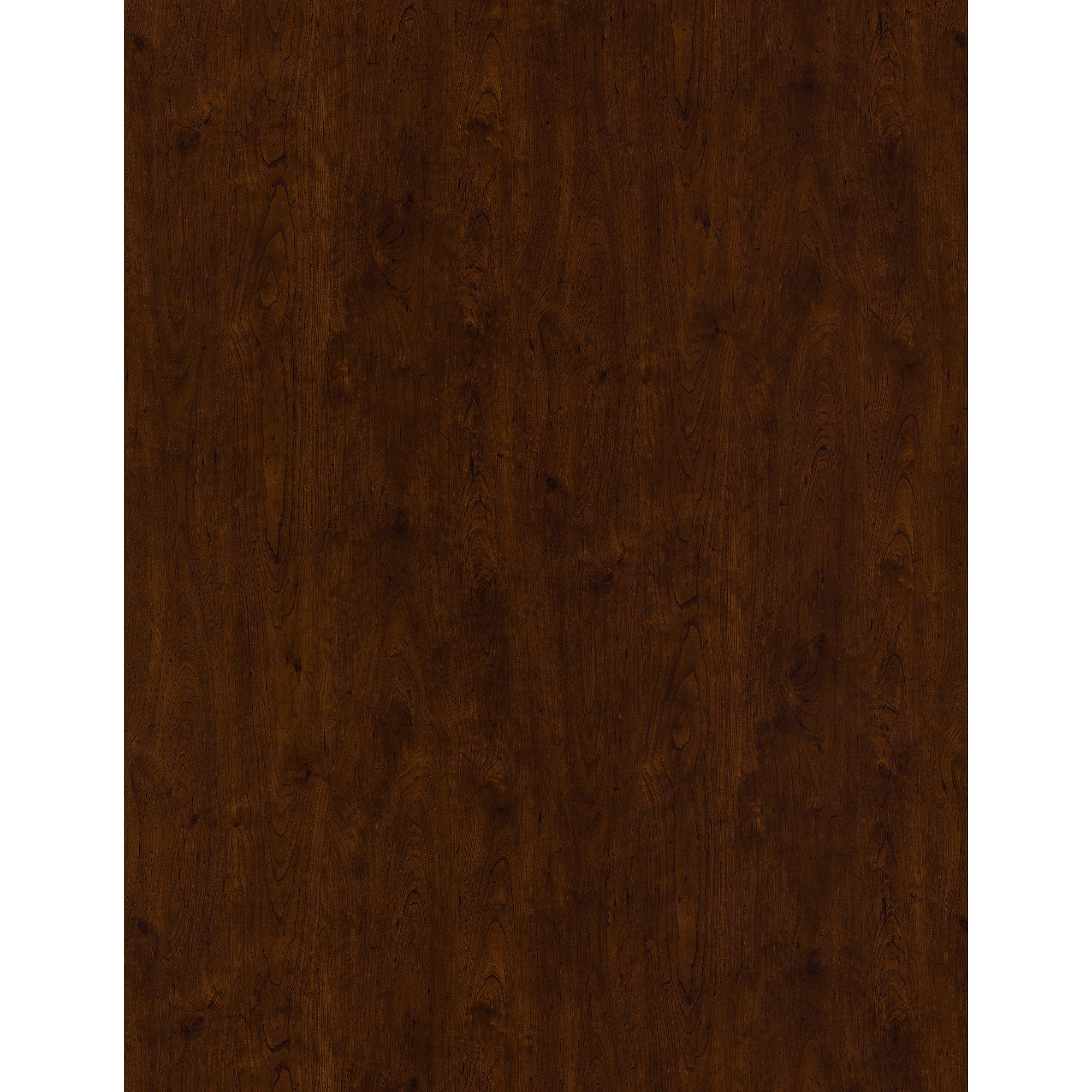 Bush Furniture Yorktown 2 Drawer Lateral File Cabinet, Document Storage Chest for Home Office, White Oak