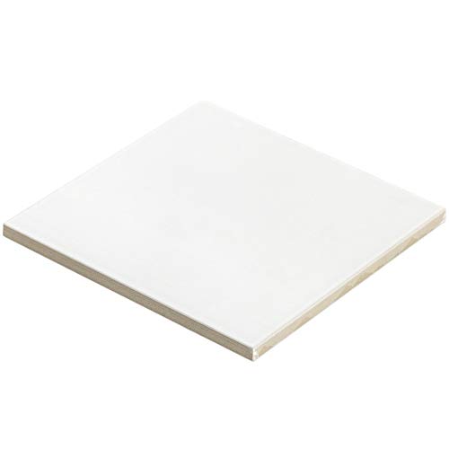 Cavanaugh White Matte Porcelain Floor and Wall Tile Sample