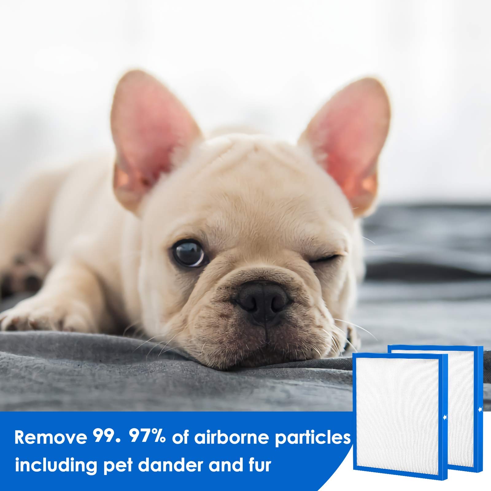 Cabiclean 2 Set Replacement Filter Compatible for HoMedics AF-20 AF-25 AP-20 AP-25 AF-20FL AF-25FL
