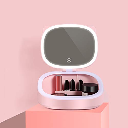 COTCLO Makeup Mirror with Led Light Storage Box M141 Led Vanity Mirror Cosmetic Organizer Lighted Led Makeup Mirror Beauty Light/a