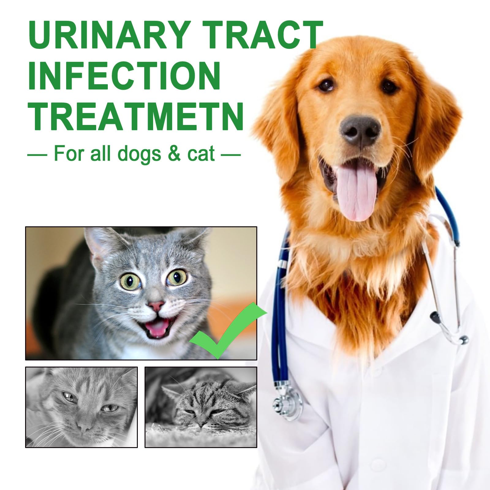 Dog UTI Treatment Cat Urinary Tract Infection Treatment Drops Cat UTI Remedy - Natural Formula Rich in Cranberry and Vitamin C
