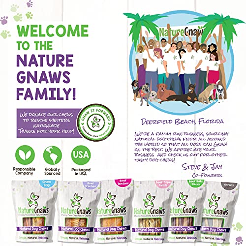 Nature Gnaws Braided Bully Sticks for Dogs - Premium Natural Beef Dental Bones - Long Lasting Dog Chew Treats for Aggressive Chewers - Rawhide Free 10 Count (Pack of 1)