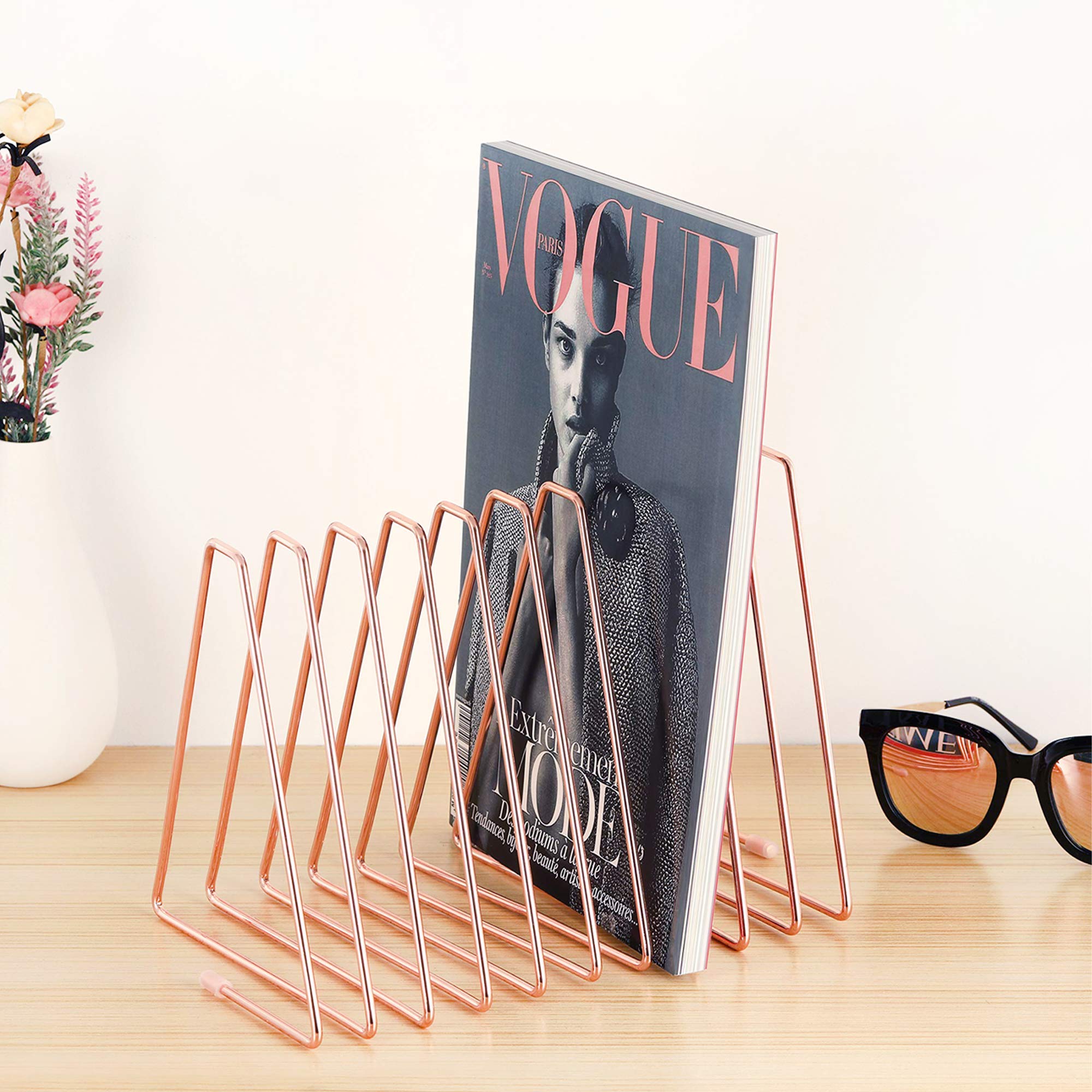 CAXXA 10 Slots Triangle Bookshelf, File Sorter, Magazine Holder, Document Holder, Rose Gold