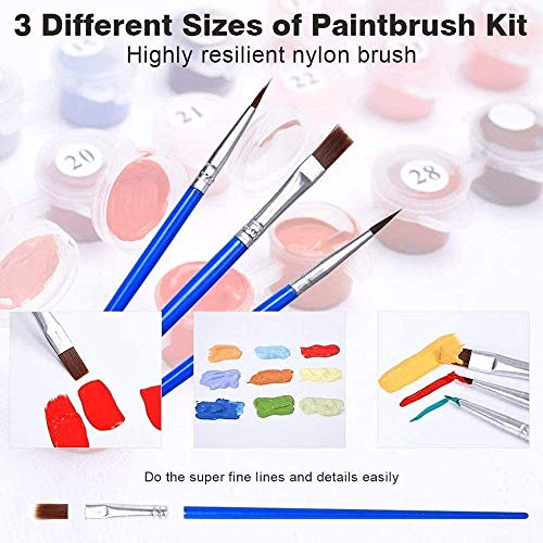 iCoostor Paint by Numbers DIY Acrylic Painting Kit for Kids & Adults Beginner β 16" Wx20 L Colorful Tiger Pattern