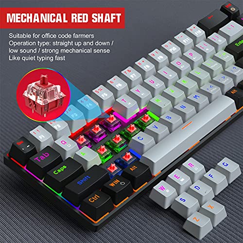 Charella 68 Key Mechanical Keyboard Type-C Wired RGB Led Backlit Blue/Red Axis Gaming Mech Keyboard WV9