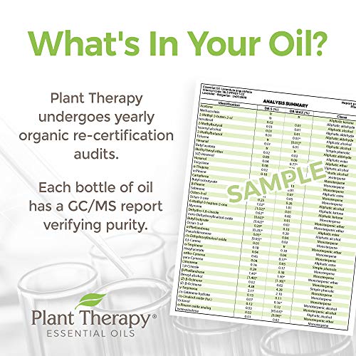 Plant Therapy Organic Oregano Essential Oil 100% Pure, USDA Certified Organic, Undiluted, Natural Aromatherapy, Therapeutic Grade 100 mL (3.3 oz)
