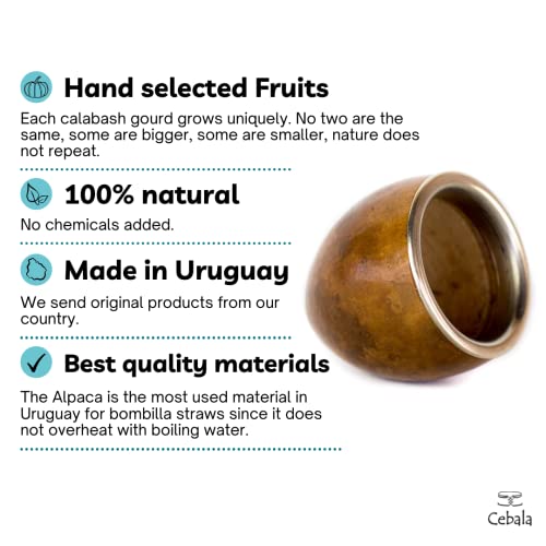 Cebala | Premium yerba mate cup (Mate gourd set) - Uruguayan mate (torpedo mate style)- Includes nickel silver bombilla straw and calabash mate cup