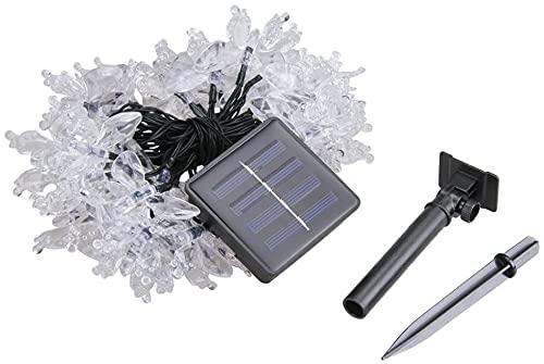 WONFAST Solar String Lights, Waterproof 16ft 20LED Butterfly Christmas Fairy Lights Decorative Lighting for Home Party Wedding Patio Garden Porch Balcony (Purple)