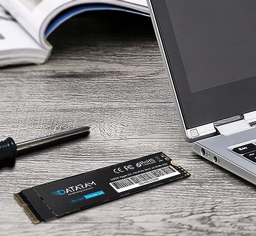 Dataram 512GB M.2 M-Key PCIe NVMe SSD for 2013-16 MacBook, Mac Pro, Air, Mini, iMac