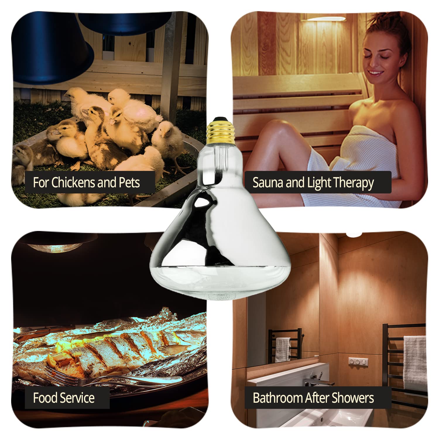 BULBMASTER 250 Watts R40 Heat Lamps Outdoor Bulbs for Pets Flood Light Bulb for Chickens Infrared Reflector 250W R40 Incandescent Medium E26 Base 2 Pack (CLEAR250R40-2PK) (250/R40/LEAR/2 PKk)
