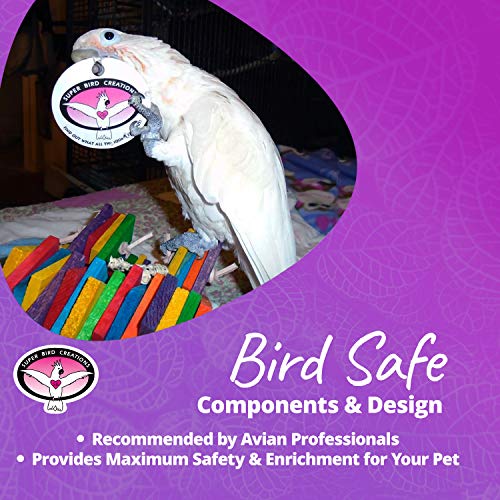 Super Bird Creations SB399 Woodpile Bird Toy, Large Bird Size, 11β x 7β x 7β