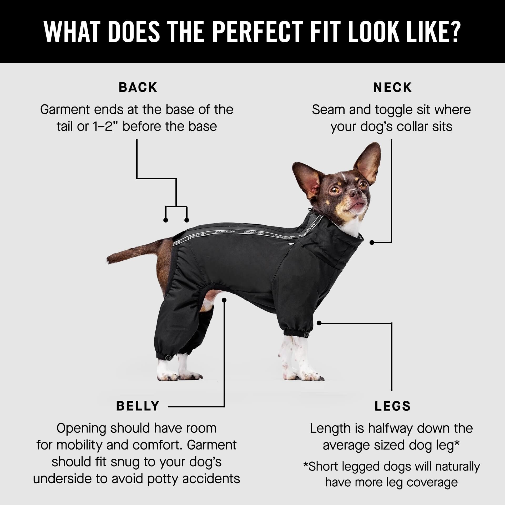 Canada Pooch Dog Snowsuit Thermal Dog Snow Jacket with Full Body Coverage Water-Resistant Easy On Dog Outdoor Onesie Warm Dog Bodysuit Pet Clothes - Black/Size 18