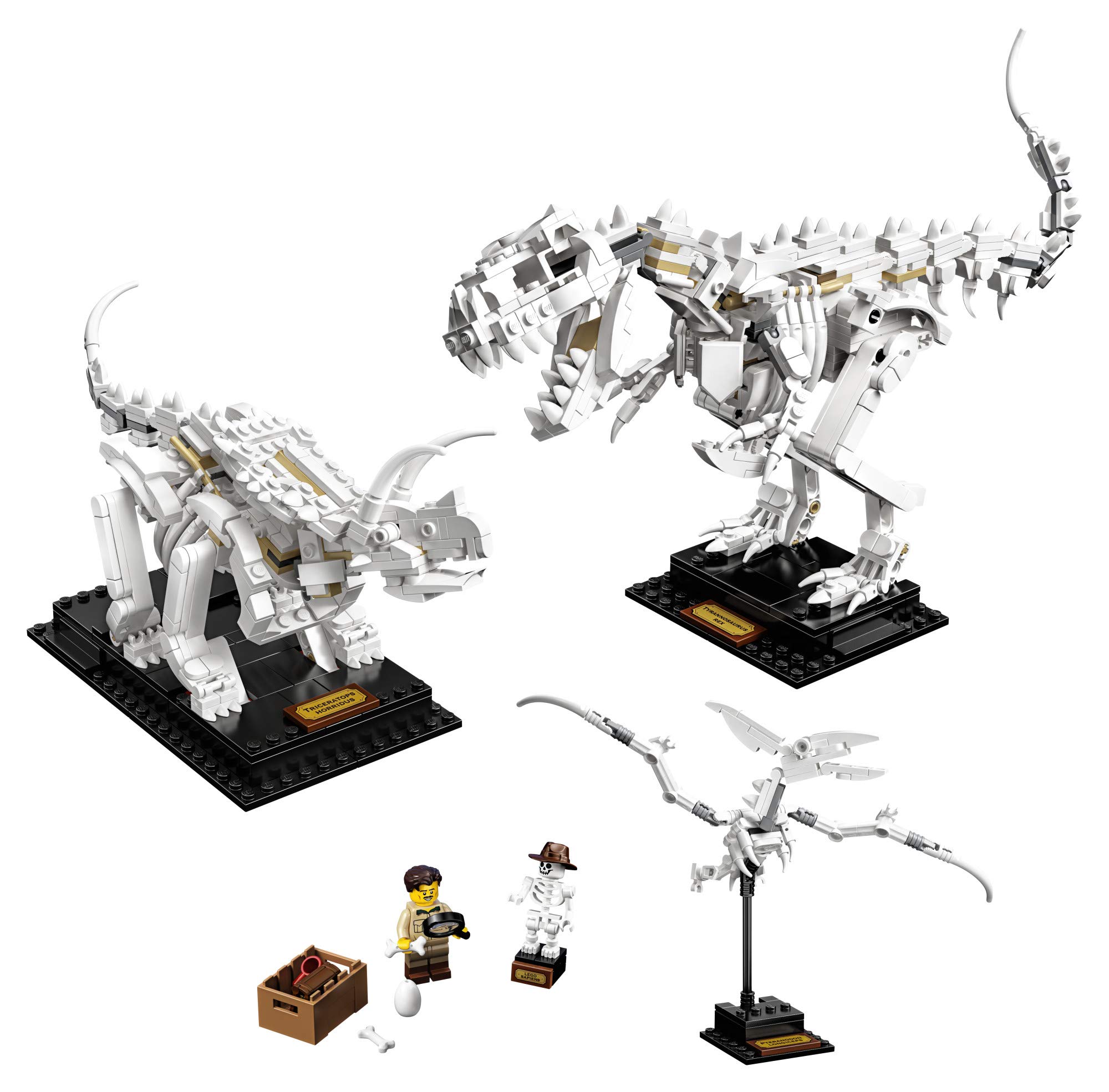 LEGO Ideas 21320 Dinosaur Fossils Building Kit (910 Pieces)