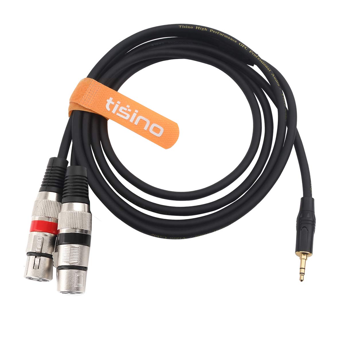 TISINO Dual XLR to 3.5mm Stereo Mic Cable, 2 XLR Female to 1/8 Inch Mini Jack Y-Splitter Breakout Lead Microphone Cord - 10 feet