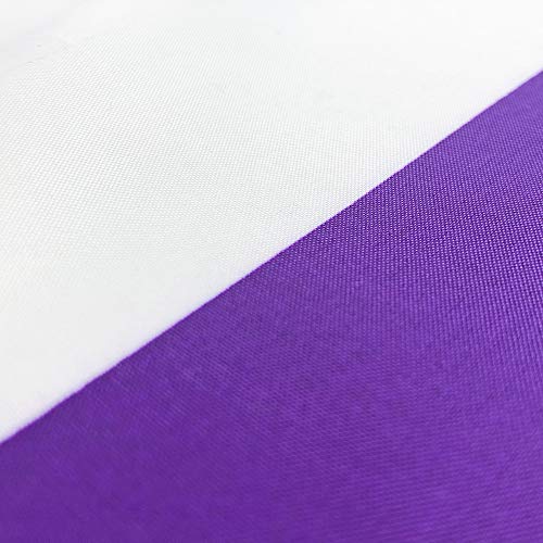 Flaglink Asexual Pride Flag 3x5Fts - LGBTQIA Nonsexual Gender Rainbow Banner