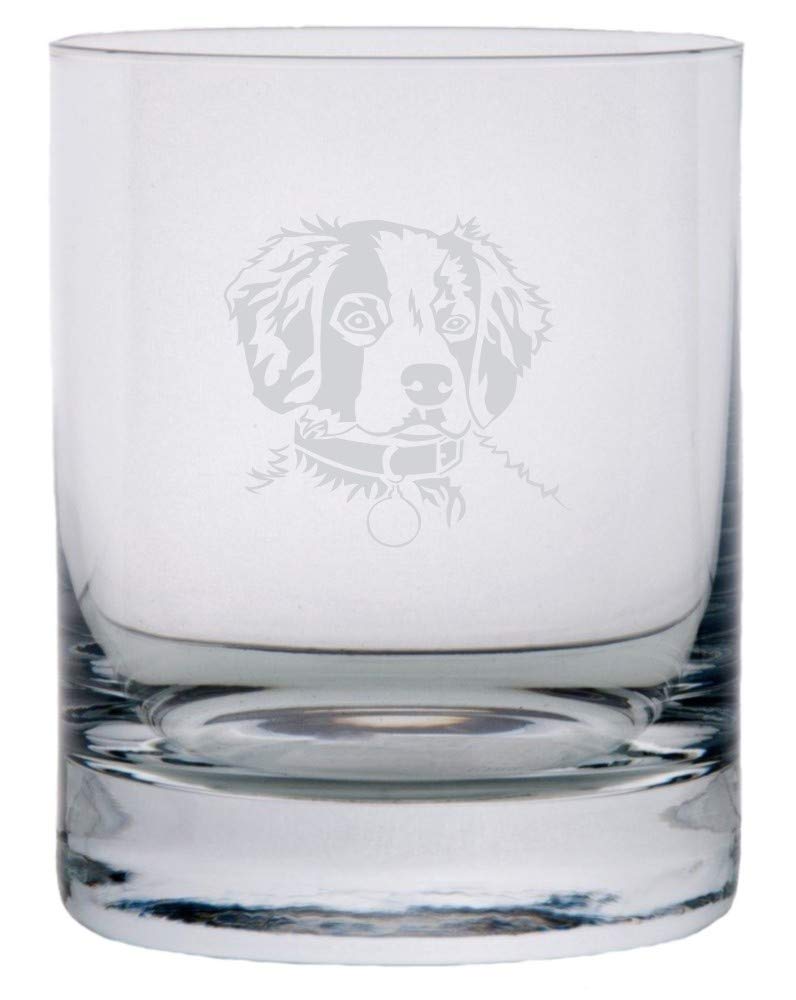 Brittany Spaniel Dog Themed Etched All Purpose 10.25oz Rocks Glass