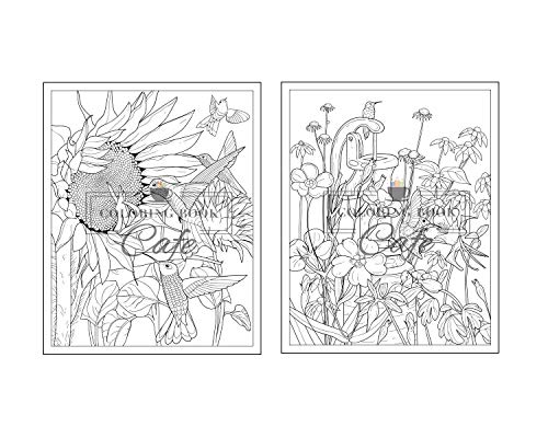 Hummingbird Coloring Book: An Adult Coloring Book Featuring Charming Hummingbirds, Beautiful Flowers and Nature Patterns for Stress Relief and Relaxation