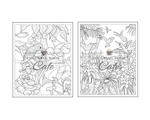 Hummingbird Coloring Book: An Adult Coloring Book Featuring Charming Hummingbirds, Beautiful Flowers and Nature Patterns for Stress Relief and Relaxation