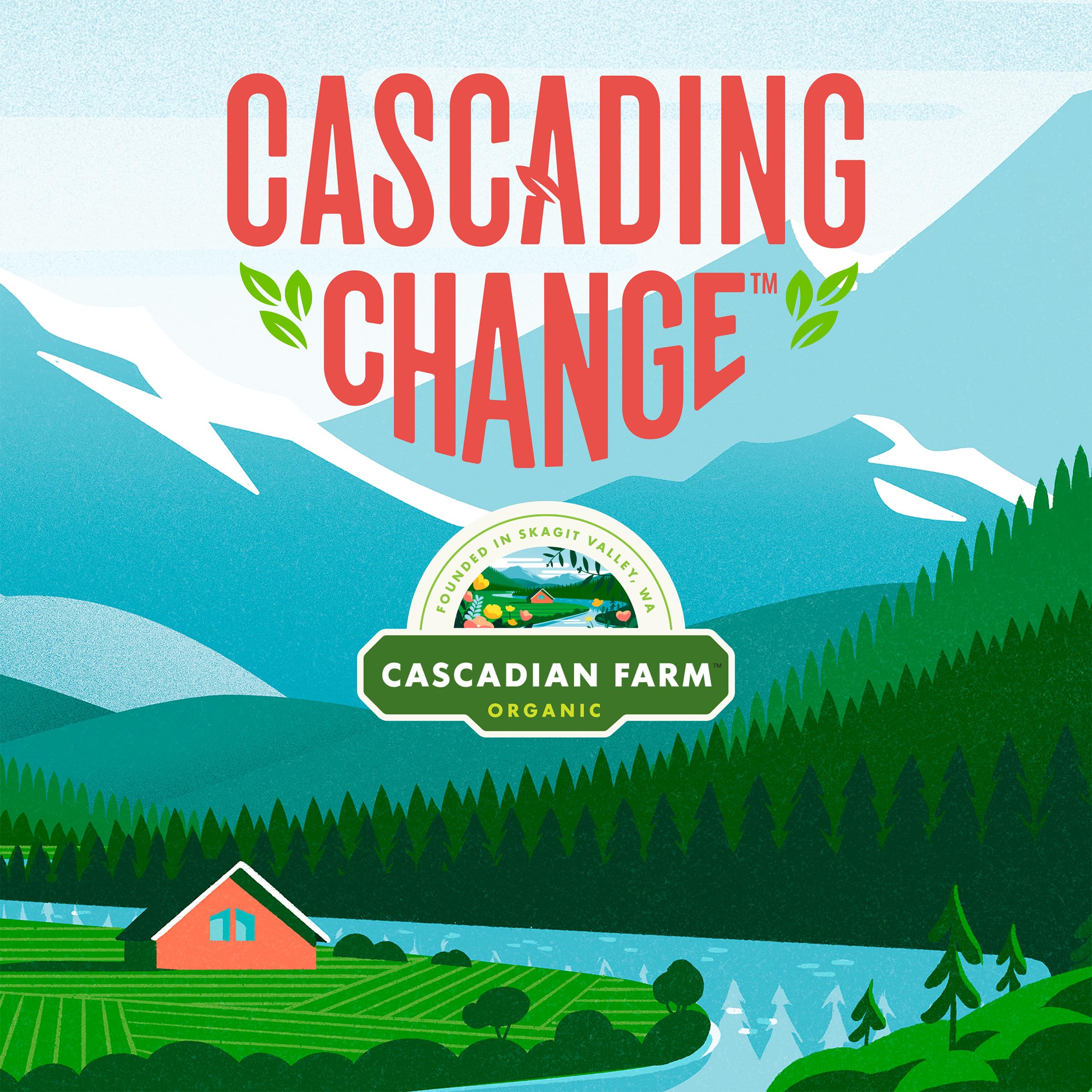 Cascadian Farm Organic Cherry Cashew Chewy Granola Bars, No Added Sugar, 6 oz, 5 Count