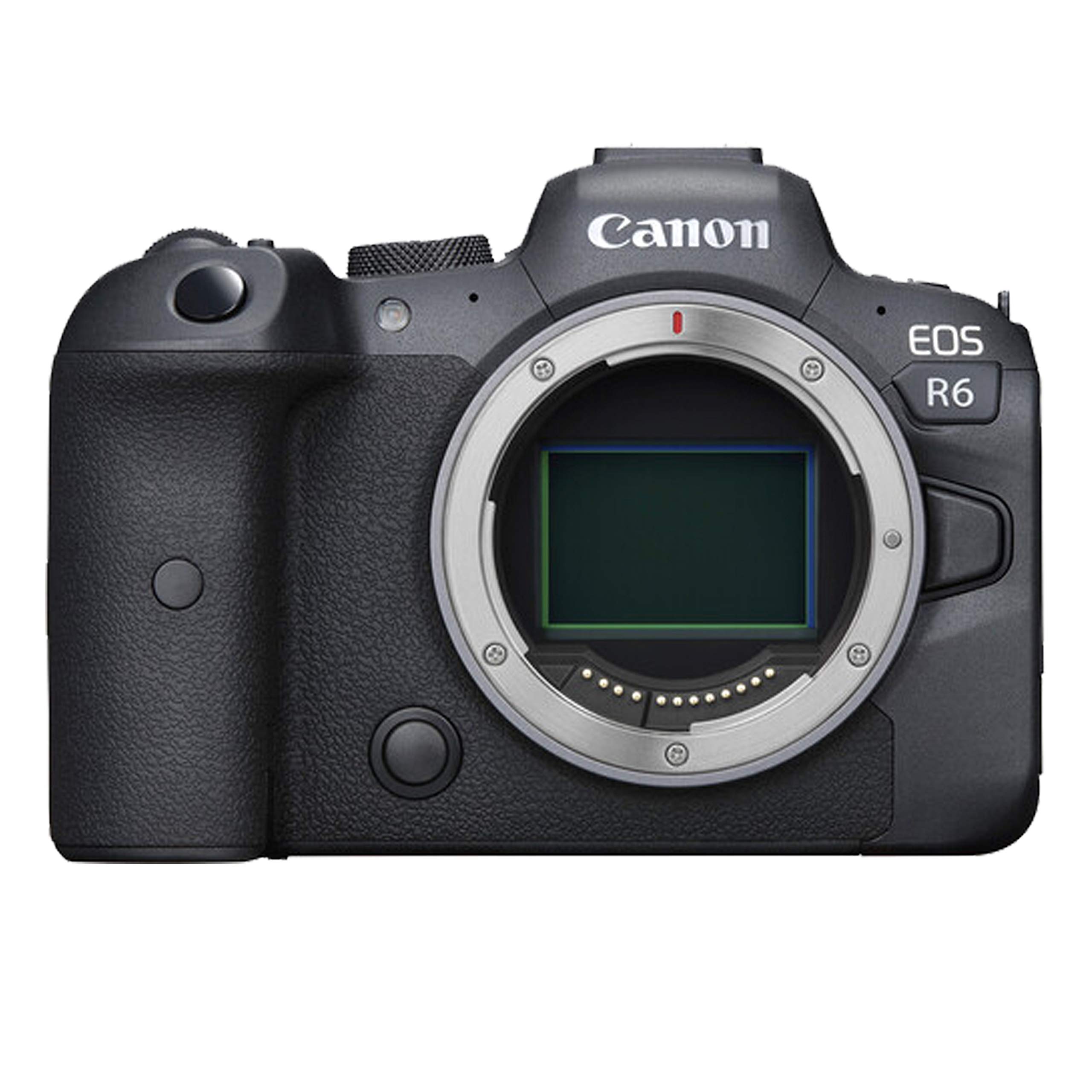 Canon EOS R6 Mirrorless Digital Camera with RF 24-105mm f/4-7.1 STM Lens + 75-300mm F/4-5.6 III Lens + 128GB Memory + Case + Tripod + Filters (41pc Bundle)