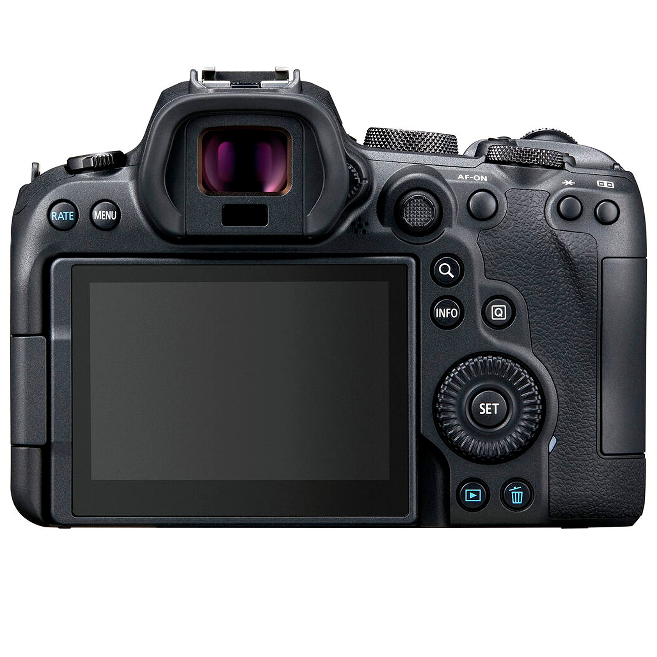Canon EOS R6 Mirrorless Camera (Body Only) Enhanced with Professional Accessory Bundle - Includes 14 Items