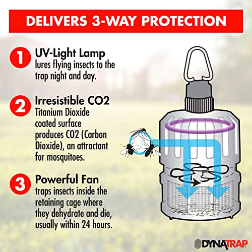 DynaTrap DT150 Indoor Mosquito & Flying Insect Trap β Kills Mosquitoes, Flies, Moths, Gnats, & Other Flying Insects β Protects up to 300 Sq Ft