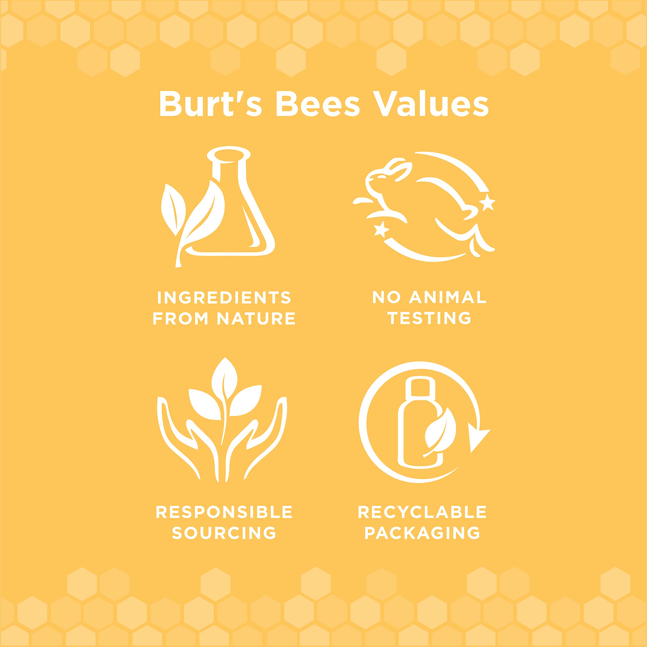 Burt's Bees for Pets Bamboo Bristle Dog Toothbrush - Naturally Derived Dog Toothbrush Made from Bamboo - BPA Free, Ergonomic Handle Toothbrush for Dogs, Bamboo Dog Toothbrush