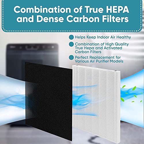 Filters for Winix 115115 - Winix C535 Replacement Filter A - Winix PlasmaWave Filter Replacement - Fit Winix Air Purifier Models C535 P300 5300 6300 AM90. Pack of 2 115115 Hepa + 8 Carbon Filters