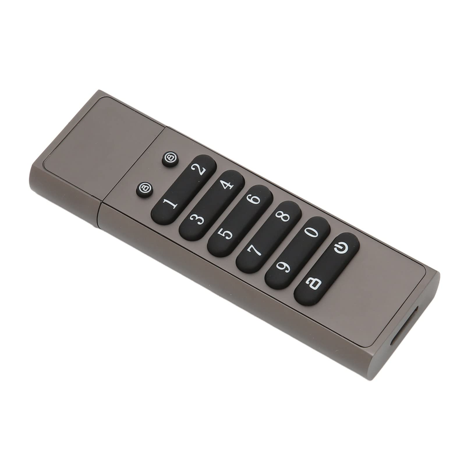 Encrypted USB Drive, Quick Password Flash Drive, Auto Lock Key USB Flash Drive for Research and Development Institutions for Government Financial Purposes (128GB)