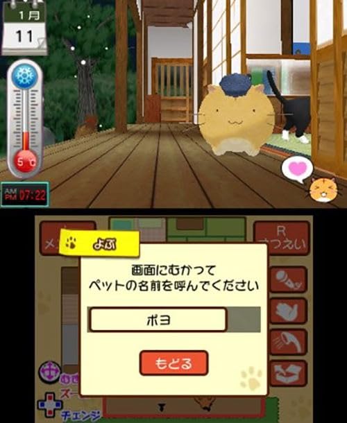 Poyo Poyo Kansatsu Nikki [Tokusouhan] [Japan Import]