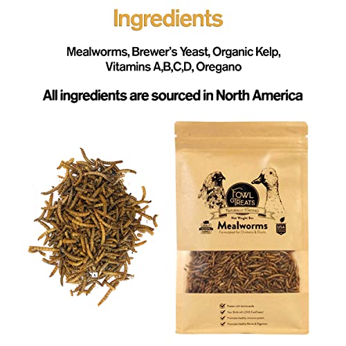 Fowl Treats Naturally Fortified Mealworms - Protein Rich Supplements Suitable for Hens and Ducks, Contains USA Grown Ingredients β Helps with Bone Strength, Feathers & Molt β 8oz