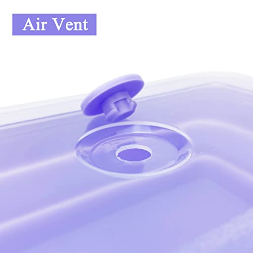Lunbengo Purple Collapsible Sandwich Container, Silicone Lunch Container Bento Box with Plastic Lid, Microwave Safe, Camping Bowl For Meal Prep, Travel and Hiking, 40oz/1200ML