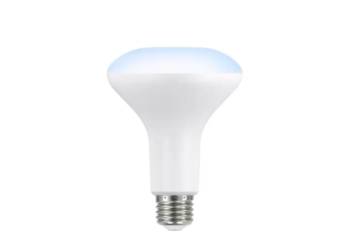 EcoSmart 65-Watt Equivalent BR30 Dimmable LED Light Bulb Daylight (6-Pack)