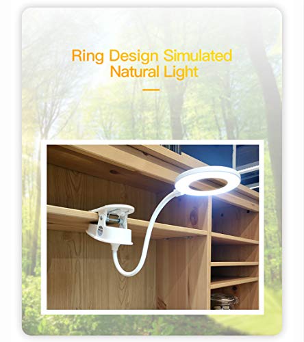 Clip on Lamp,Battery Powered Reading Lamp,Clip on Light for Bed Clip on Battery Light with 3 Brightness Level,USB Rechargeable, Reading Lamp