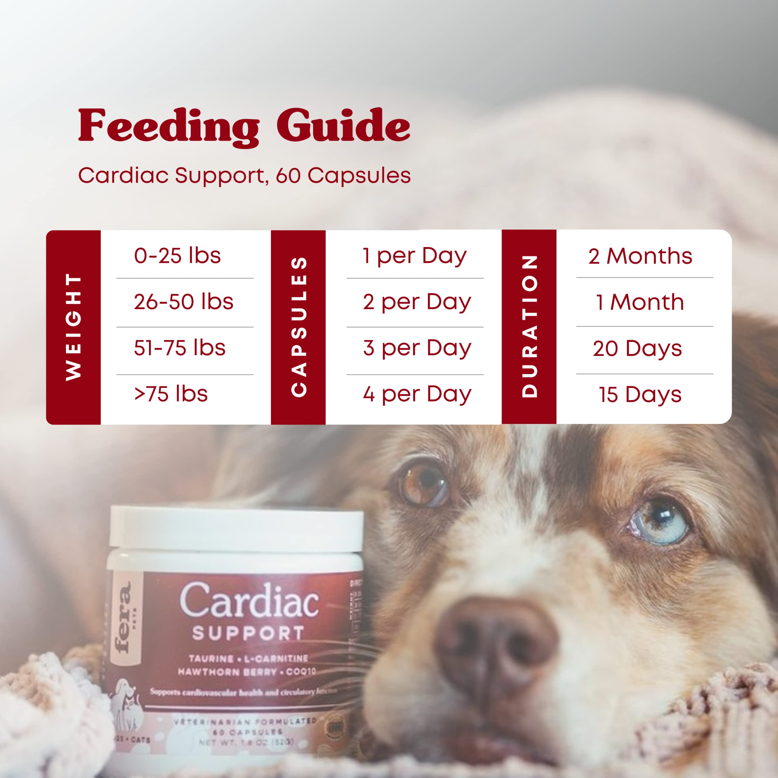 Fera Pets Probiotics and Cardiac Support Supplement Bundle for Dogs and Cats β All Natural Probiotics Powder for 5 Billion CFUs per Scoop β Support Cardiovascular Heart Health (60 Capsules)