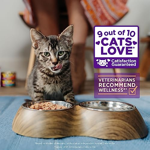 Wellness Complete Health Grain Free Canned Cat Food, Chicken Pate, 3 Ounces (Pack of 24)