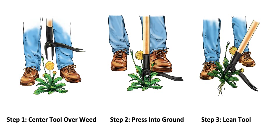 Grampa's Weeder + Grampa's Hand Weeder - Bundle The Original Stand Up Weed Puller & Grampa's Hand Weeder Tool for The Easiest & Most Effective Weed Removal Duos