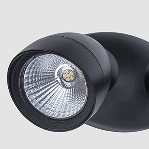 Wall Light IP54 Waterproof Outdoor Wall Sconce,Black Aluminum Rotatable Double-head Wall Lamp,Modern Wall Light for Courtyard Garage Garden Wall Lamp Home (Color : Black)