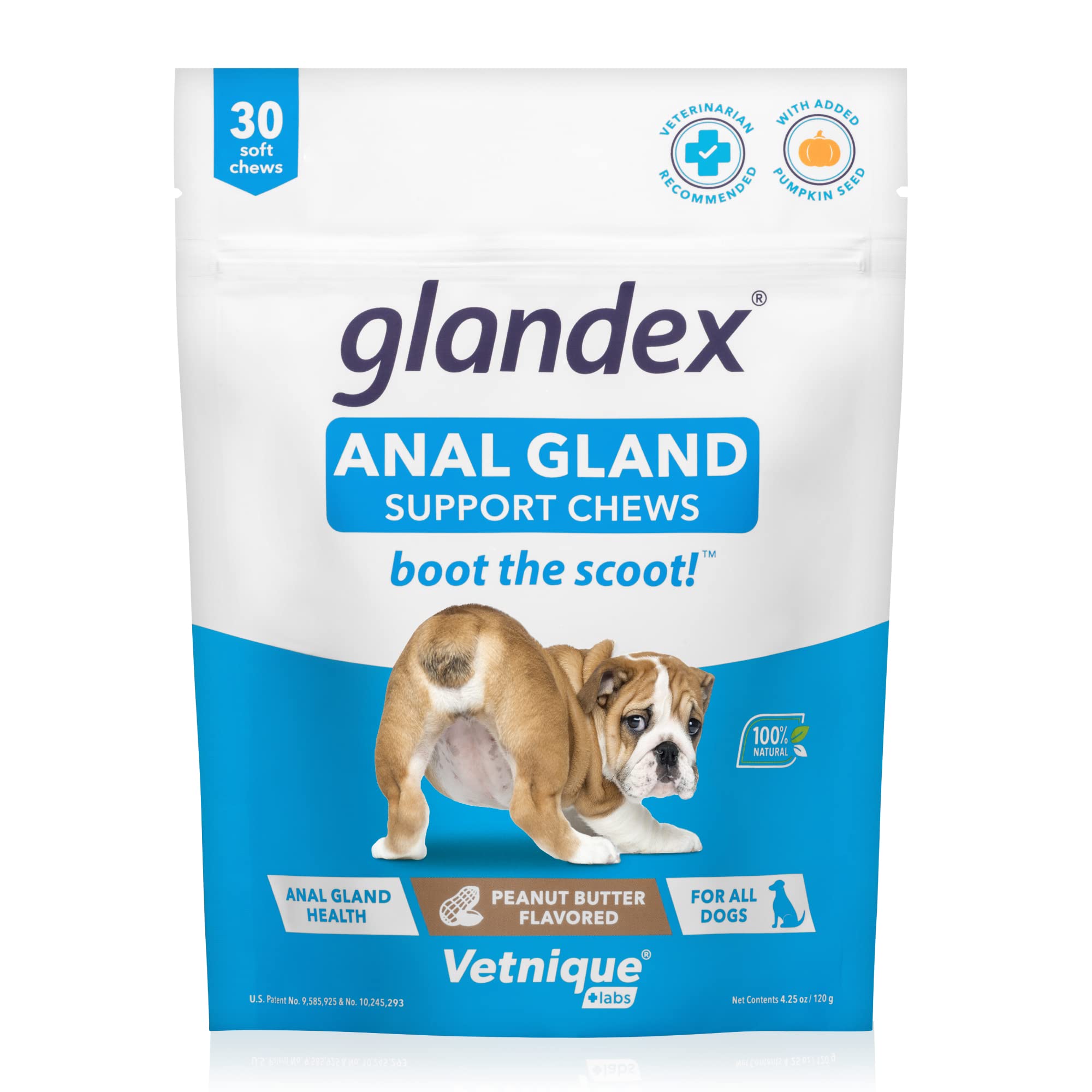 Glandex Anal Gland Support Chews 30 Ct and Dermabliss Omega & Skin Supplement for Dogs 60 Ct Bundle| Peanut Butter, Savory Salmon, Probiotic for Dogs, Itch Relief for Dogs