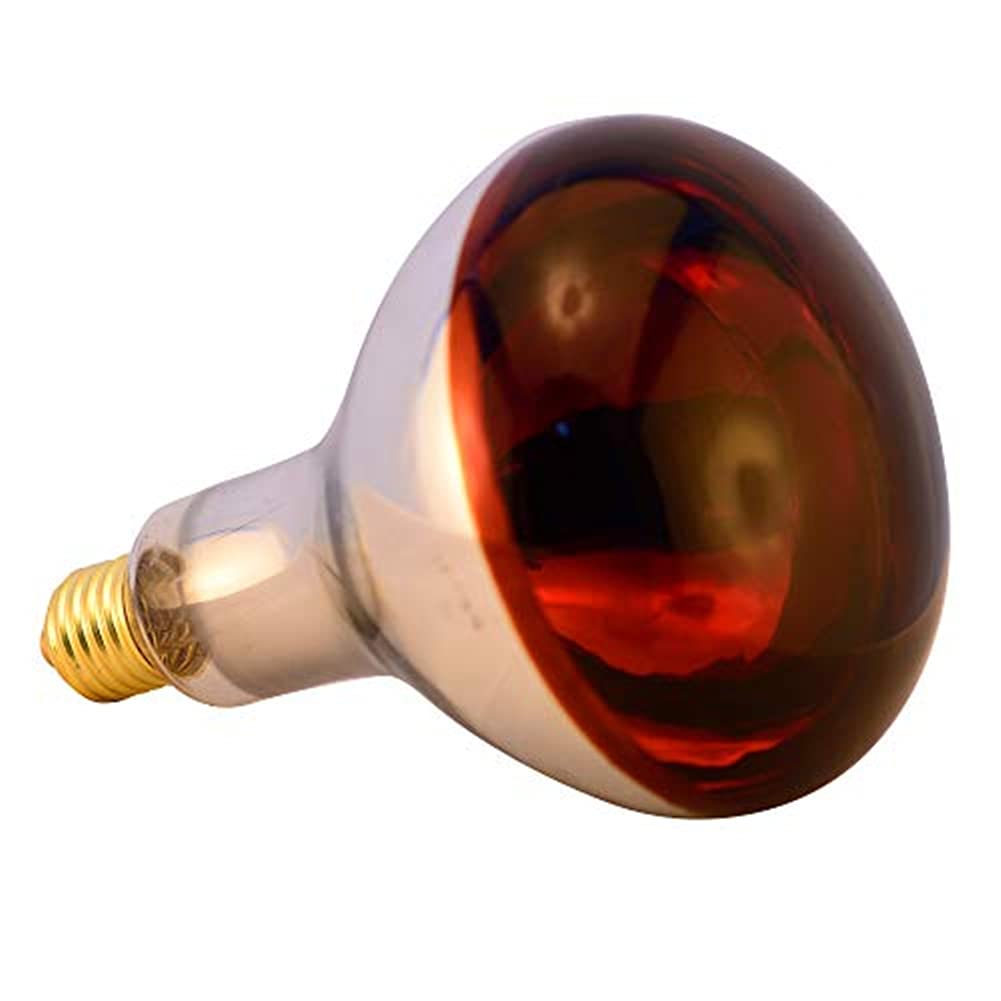 BONGBADA Heat Lamp Bulb R115 250 Watt 2 Pack Infrared Glass Lamp Bulb for Food Service, Brooder Bulb, Chicks, Pet, Bathroom, Light Therapy, Reptiles and Amphibian Use E26 Base