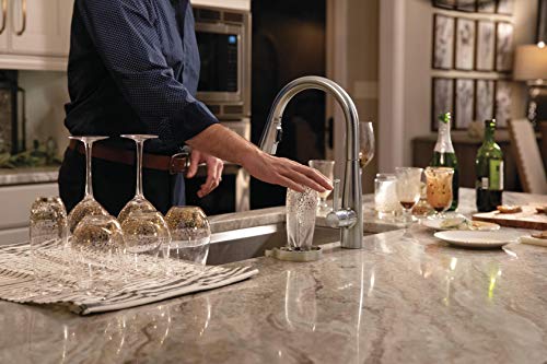 Delta Faucet Glass Rinser for Kitchen Sinks, Kitchen Sink Accessories, Bar Glass Rinser, SpotShield Stainless GR150-SP