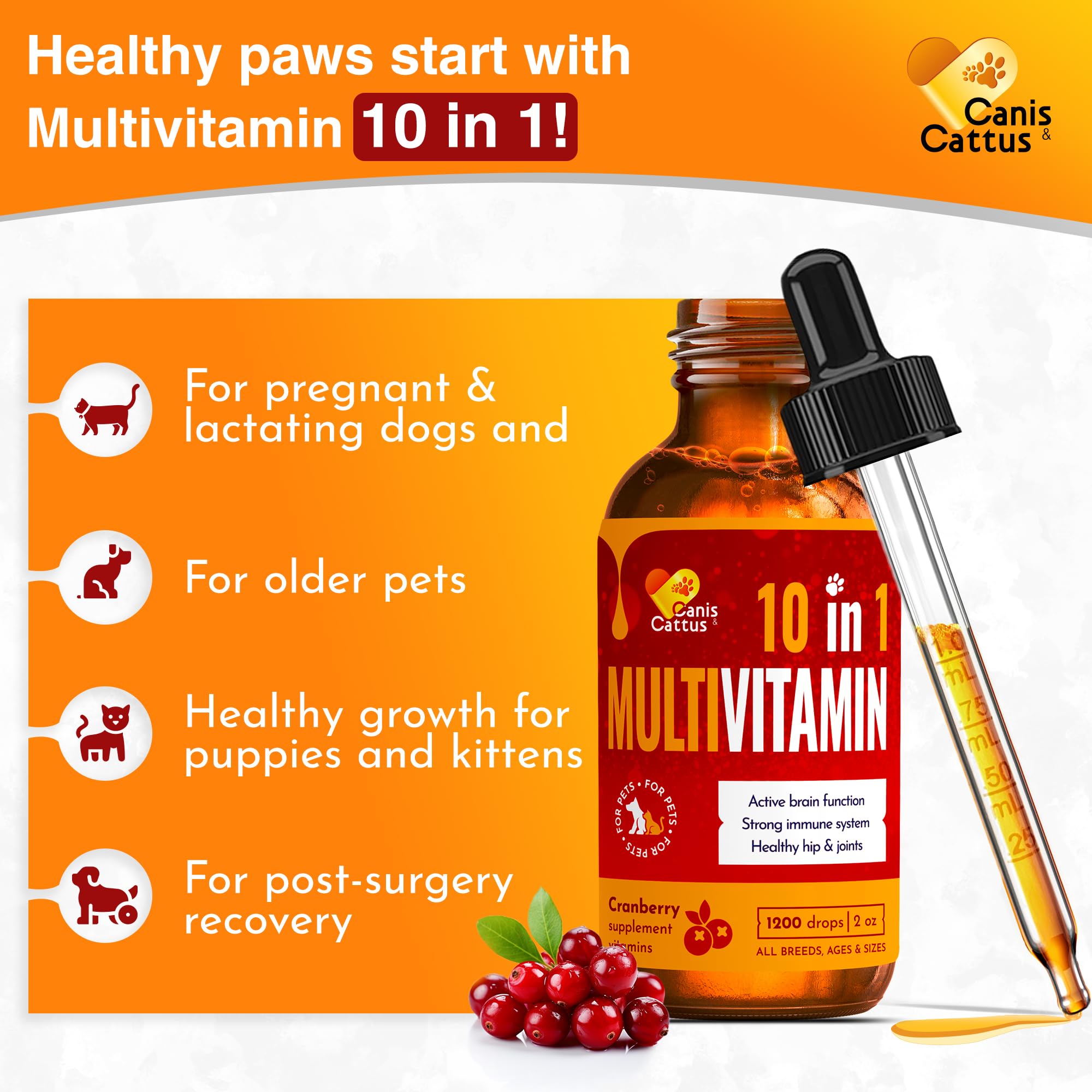 Cat Antibiotic | Dog Antibiotic | Kennel Cough | Cat Probiotic | Dog Vitamins and Supplements | Liquid Probiotics for Dogs | Dog Cough Suppressant | Bundle | 4 Pack