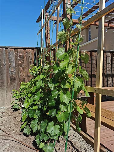Garden Stakes,Connectable Plant Support Stakes,BOVITRO 40Pcs Steel Plant Stakes with 20 Connectors[17 Inches Each-Adjust Length Freely]
