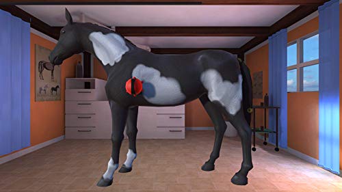 My Riding Stables 2: A New Adventure (PS4)