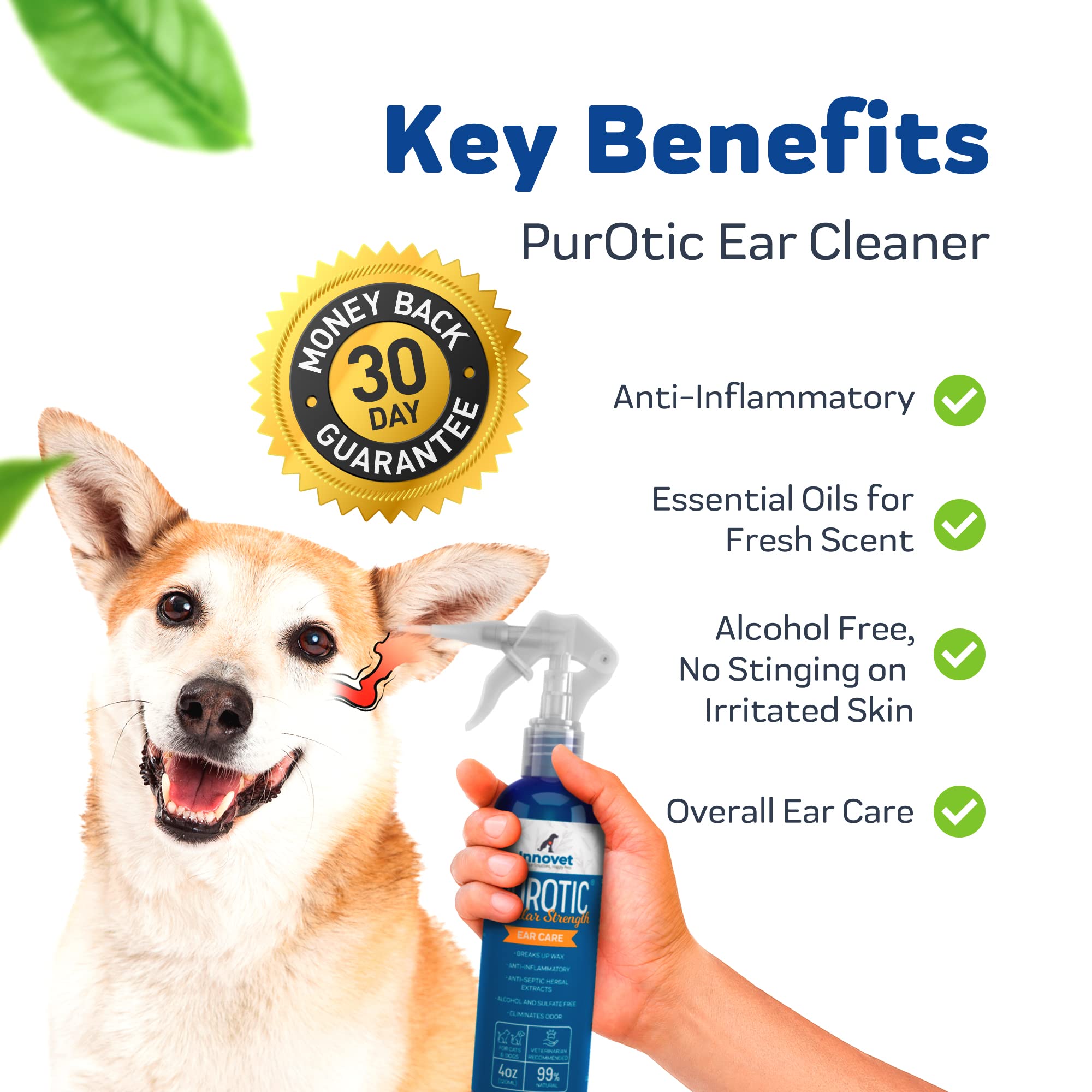 Innovet PurOtic Ear Cleaner for Dogs & Cats with Silicone Applicator Made With Essential Oils - 100% Made In USA - Regular Strength 4 oz Bottle