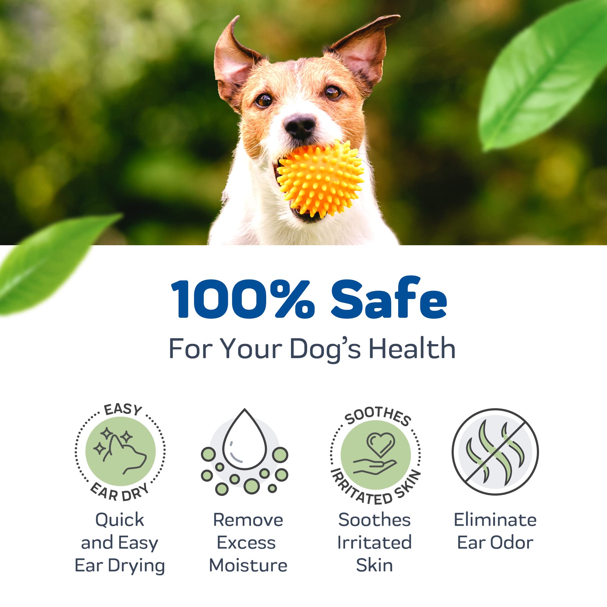 Innovet PurOtic Natural Ear Dryer for Dogs with Silicone Applicator - 4 oz Bottle - 100% Made in USA - Ear Dryer for Dogs