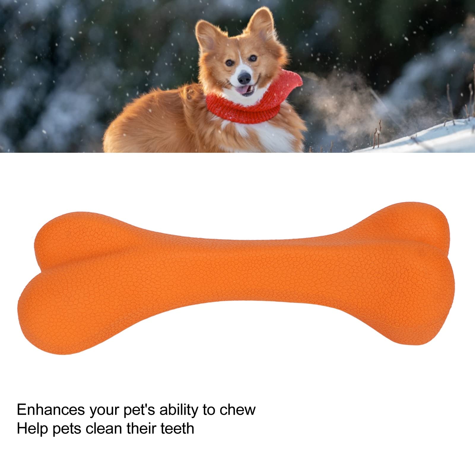 Dog Dental Chew Toy, Teeth Polishing, Cleaning Gum, Interesting Dog Bone Toy, Interactive Damage Prevention, TearResistant for (S)
