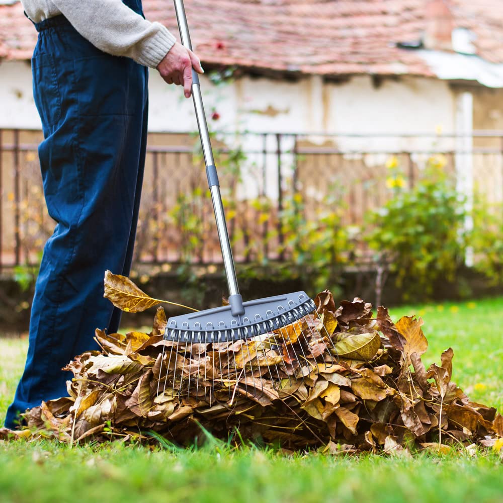 Colwelt Thatch Rake -24 Steel Tines, Dethatching Rake with 54ββ Lightweight Stainless Steel Handle, Yard Dethatcher Rake for Lawn(Pine Needles, Dead Grass, Thatch, Leaves, Mulch)