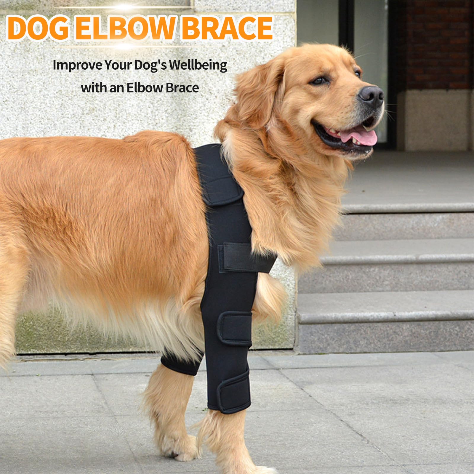 Dog Knee Brace for ACL - Luxating Patella Ligament Injury Hip Support and Recovery - Knee Braces for Dogs - Dog Elbow Protector(L)